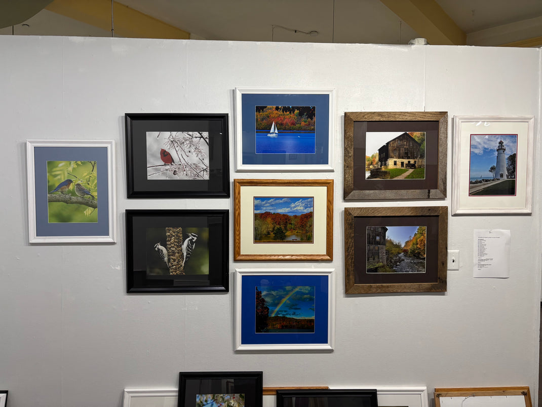 butlerartcenter